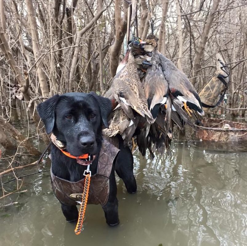 Layla – Tanner Johnson – Sporting – Delta Magazine- Cleveland, MS