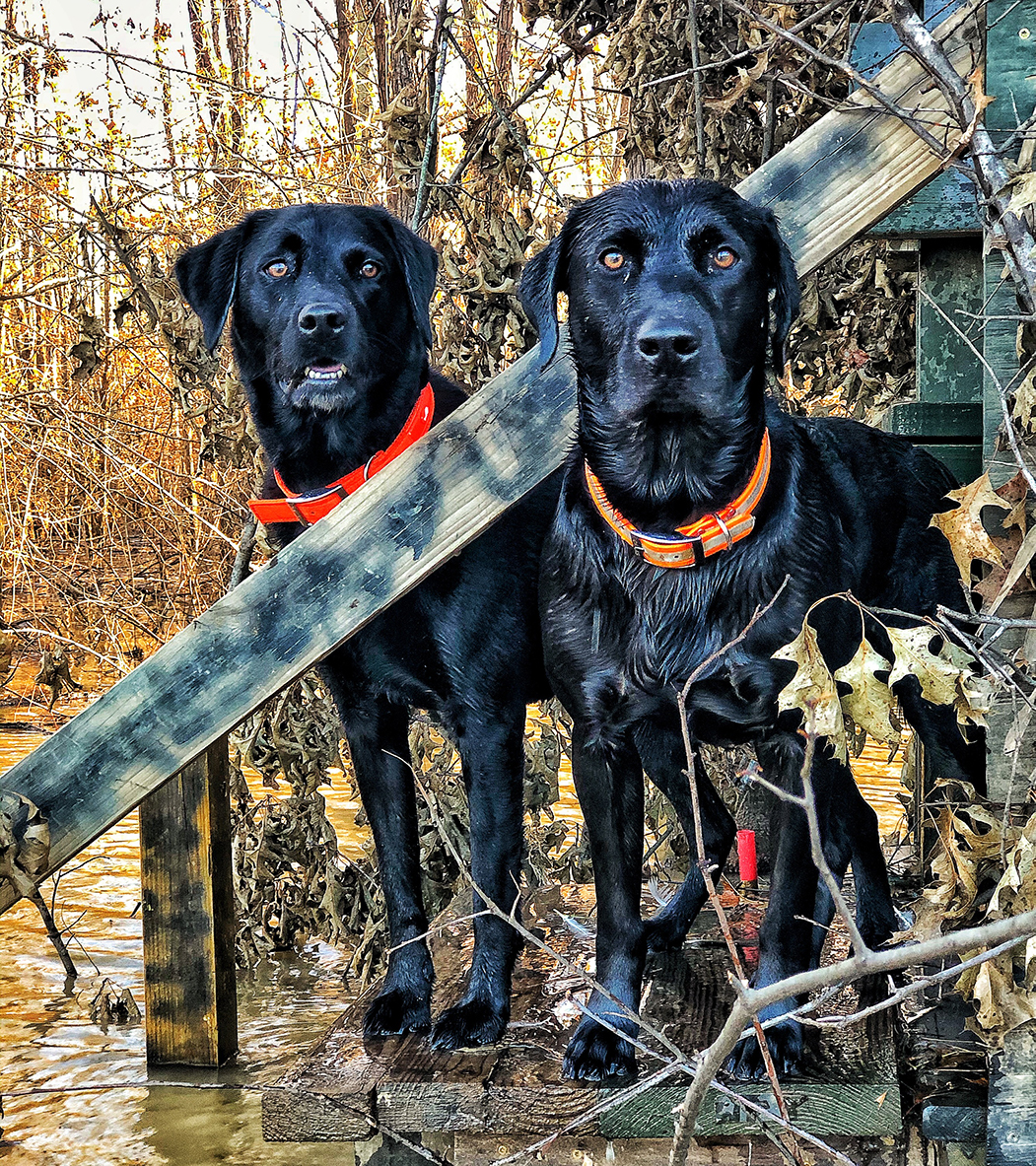 Skeeta and Opie R – Cindy Beard – Sporting – Delta Magazine- Cleveland, MS